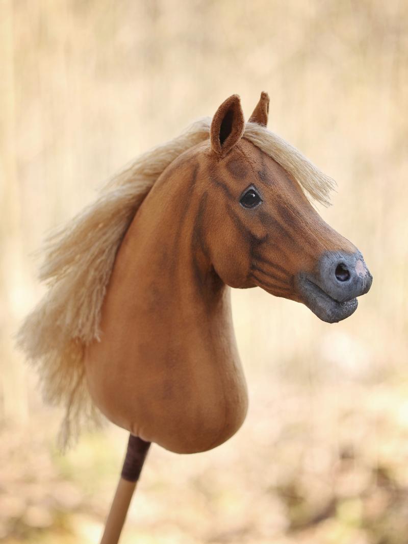 Eponi Hobbyhorse Registry