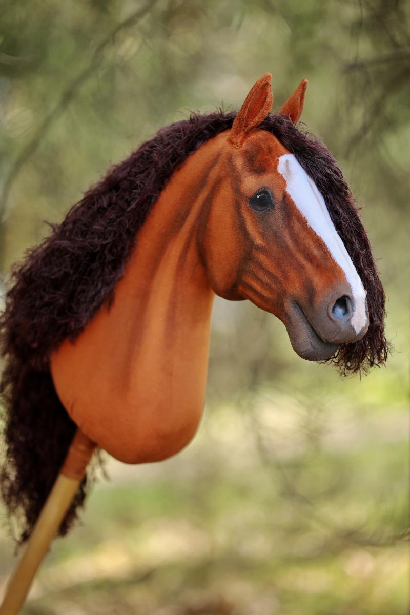 Eponi Hobbyhorse Registry