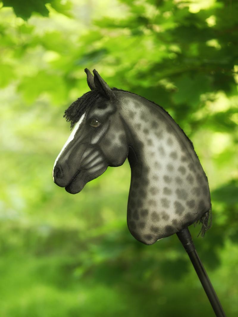 Eponi Hobbyhorse Registry