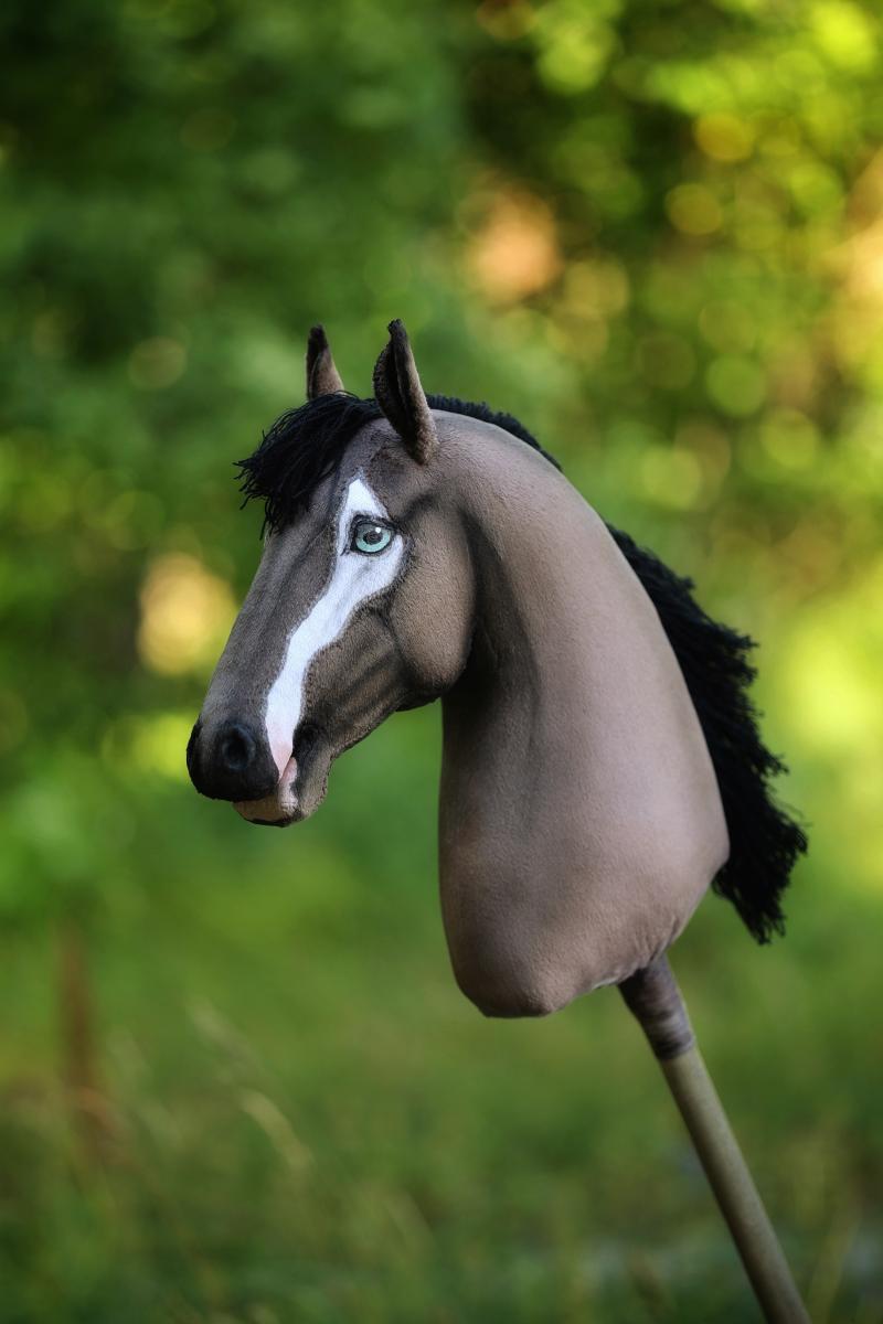 Eponi Hobbyhorse Registry