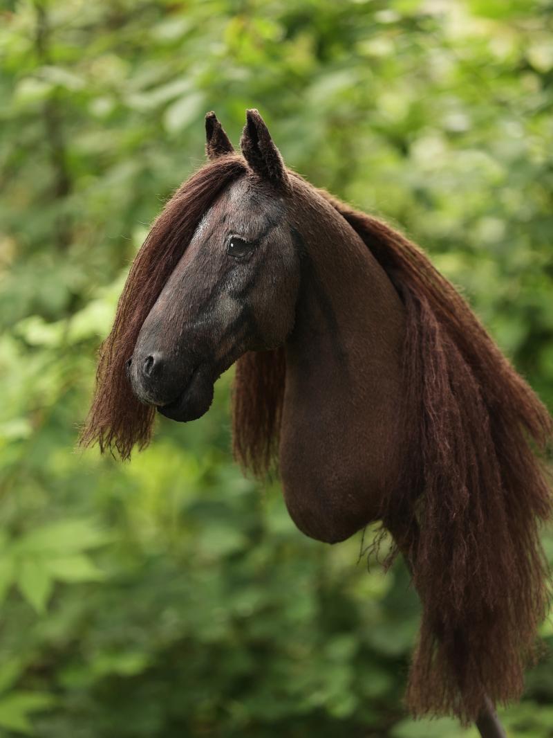 Eponi Hobbyhorse Registry