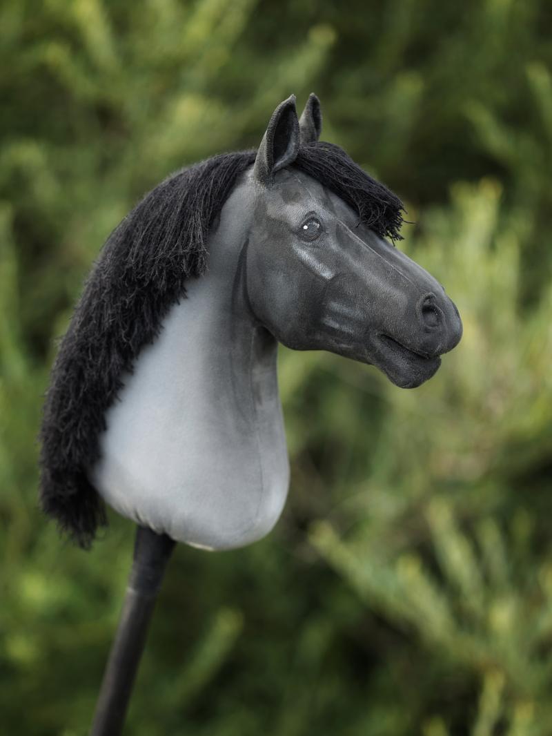 Eponi Hobbyhorse Registry