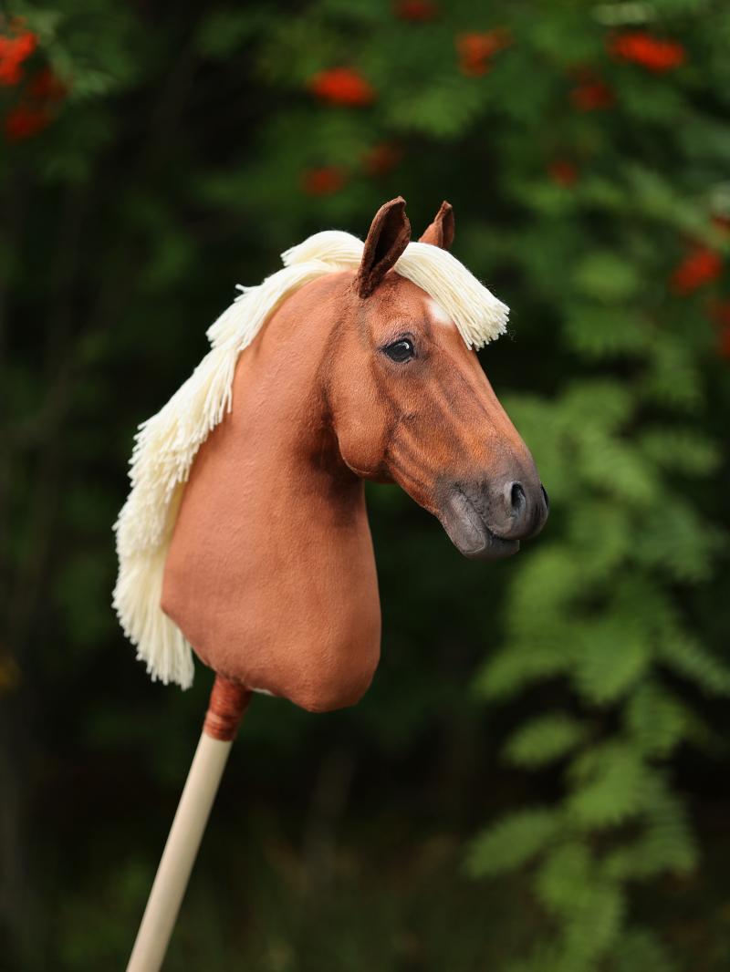 Eponi Hobbyhorse Registry