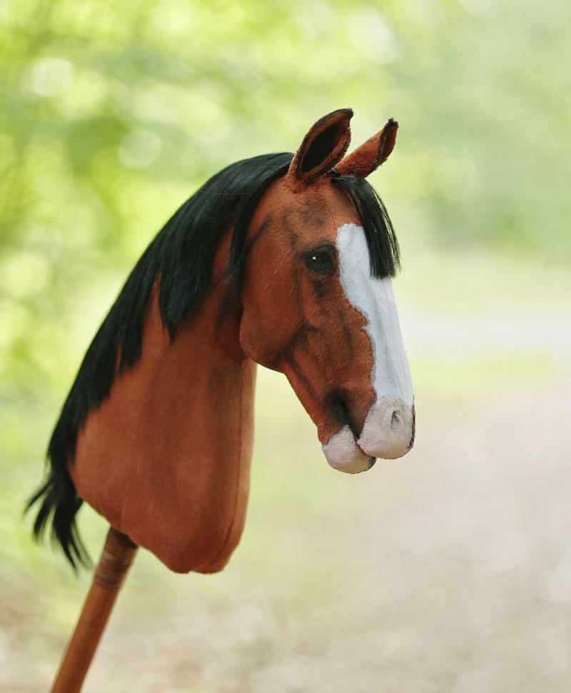 Eponi Hobbyhorse Registry