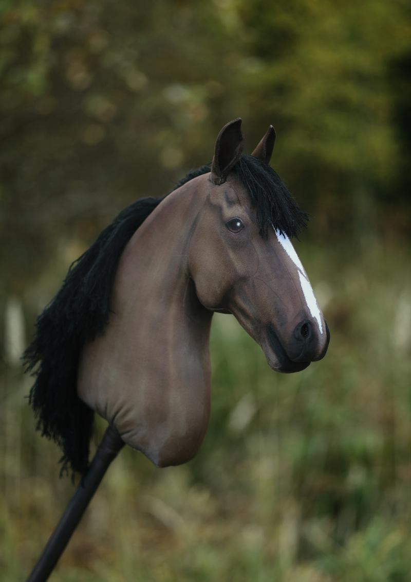 Eponi Hobbyhorse Registry