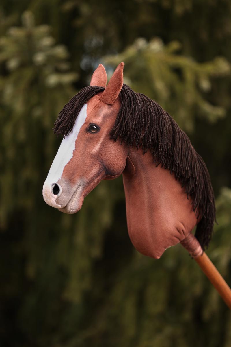 Eponi Hobbyhorse Registry