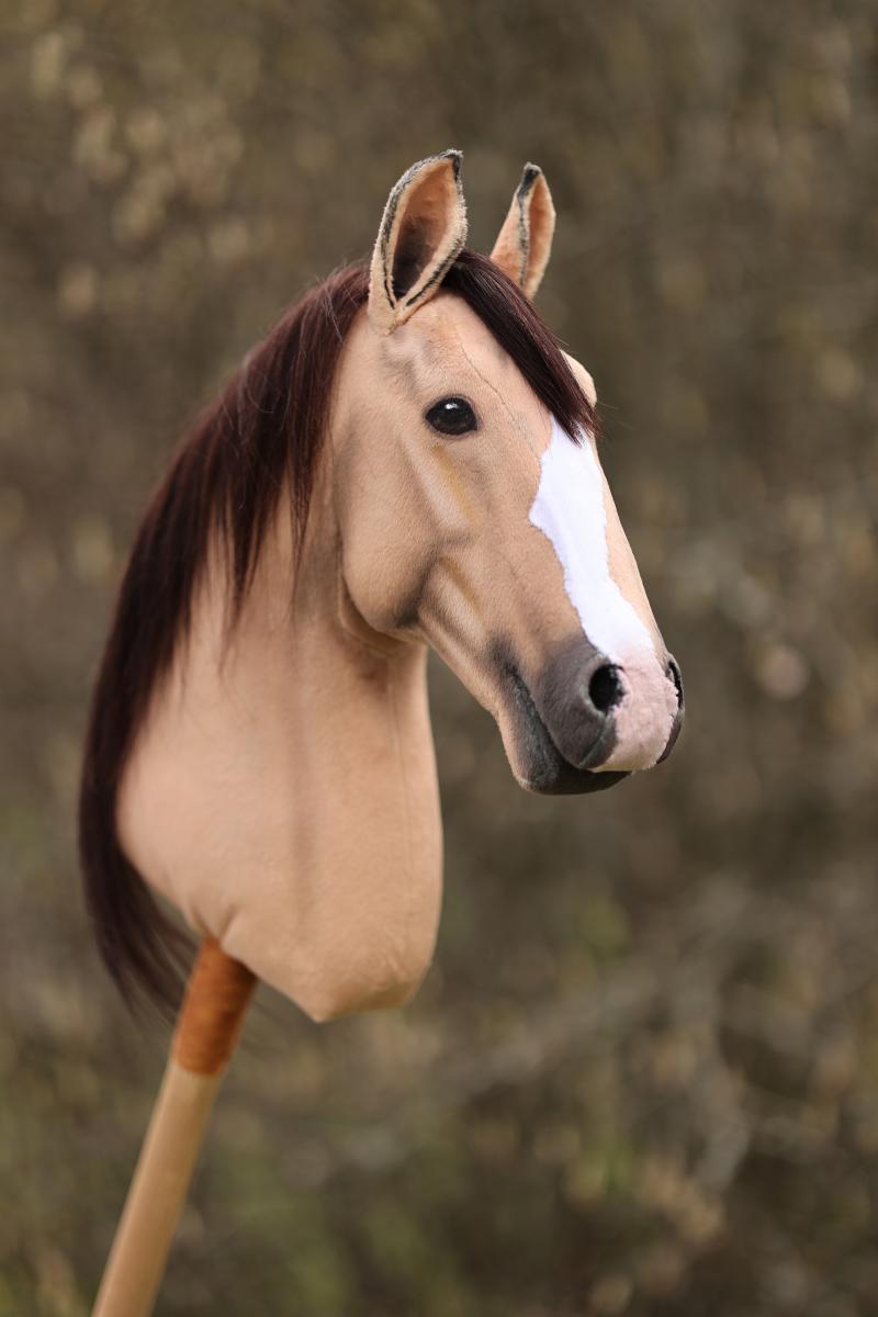 Eponi Hobbyhorse Registry